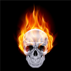 Chrome Skull Vector Images (over 130)