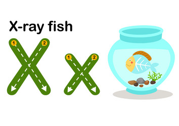 Alphabet x with x-ray fish Royalty Free Vector Image