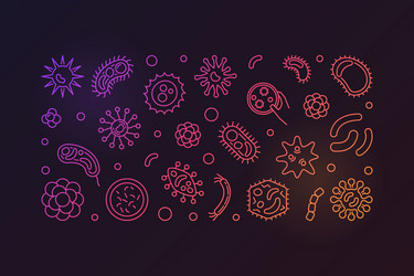 Sacred geometry website banner the formula Vector Image