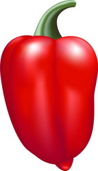 Paprika Draw Vector Images (over 3,000)