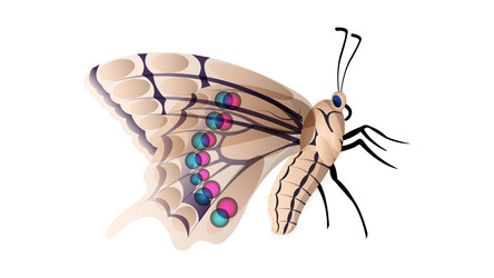 Butterfly Side View Vector Images (over 330)
