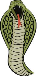 Serpent Vector Images (over 18,000)
