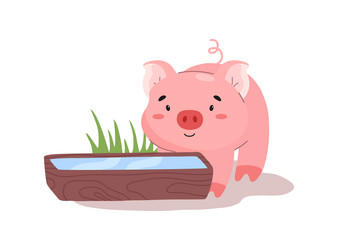 Cute mini pig with a kind smiling face and big Vector Image