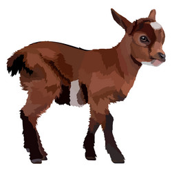 Realistic ram side view isolated farm animals Vector Image