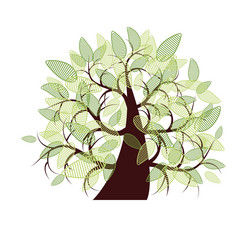 Trees collection Royalty Free Vector Image - VectorStock