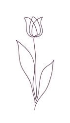 Single Tulip Vector Images (over 860)