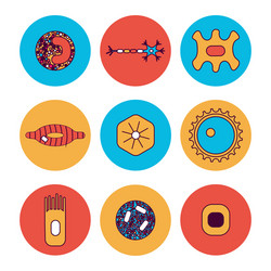 Different human cell types Royalty Free Vector Image