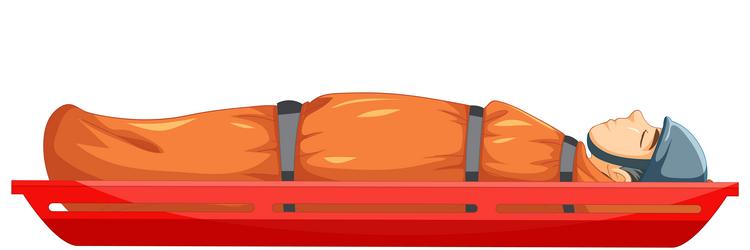 Rescue using stretcher on white background Vector Image