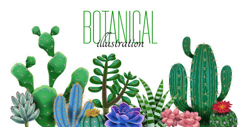 Cactus Text Vector Images (over 3,800)