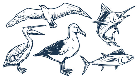 Fauna Vector Images (over 230,000)