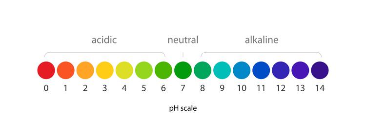 Ph scale indicator chart diagram acidic Royalty Free Vector