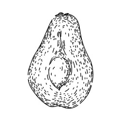Asian chayote healthy sketch hand drawn Royalty Free Vector