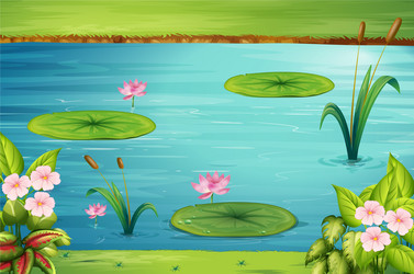 Lotus Pond Vector Images (over 1,800)