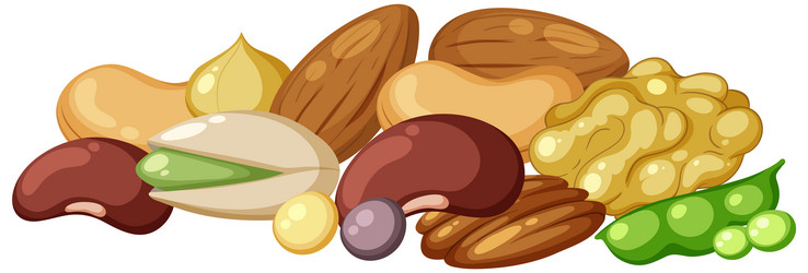 Groundnut Cartoon Vector Images (over 680)