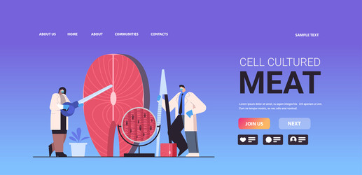 Scientists analyzing cultured red raw fish meat Vector Image