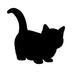 Cat silhouette sphinx side view breeds pet Vector Image