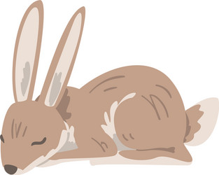 Leaping Hare Vector Images (over 160)