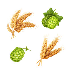 Hops Vector Images (over 43,000)