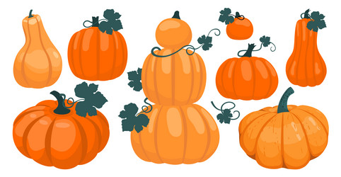 Pumpkin spice clipart Vector Images & Graphics for Commercial Use ...