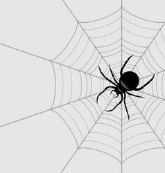 Free Spider Vector Images (over 4,300)