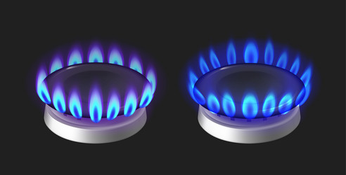 Burning stove gas burner realistic Royalty Free Vector Image