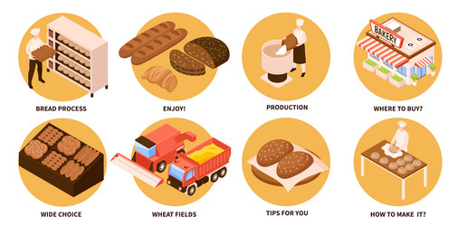 Bread production flowchart Royalty Free Vector Image