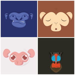 Four monkeys animals Royalty Free Vector Image