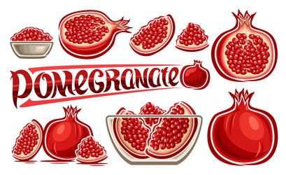 Pomegranate Vector Images (over 16,000)