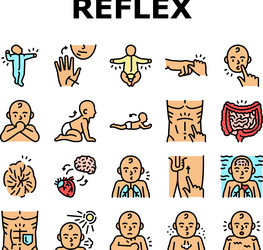 Reflex of human neurology system icons set Vector Image