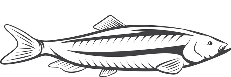 Fishing fresh seafood template design Royalty Free Vector