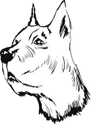 Great Dane Head Vector Images (over 320)