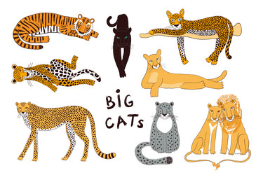 Big cats faces isolated collection color Vector Image