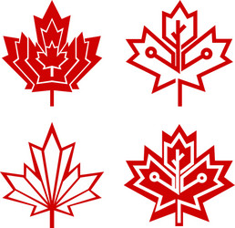 Maple leaf Royalty Free Vector Image - VectorStock