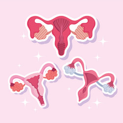 Female Reproductive System Vector Images (over 4,300)