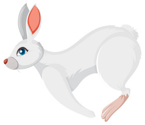 Jumping Rabbit Vector Images (over 4,300)