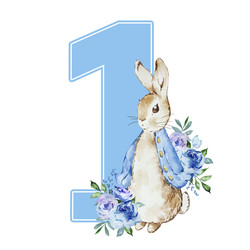 Peter Rabbit Vector Images (over 170)