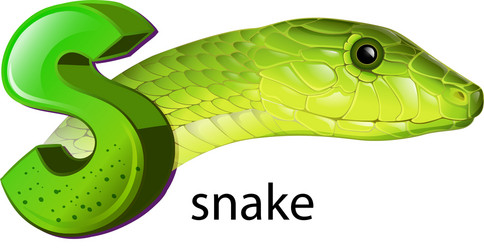 Letter S Snake Vector Images (over 180)