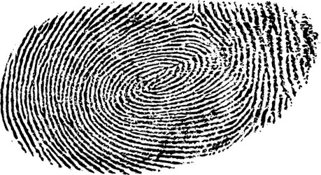 Thumbprint Texture Vector Images (over 360)
