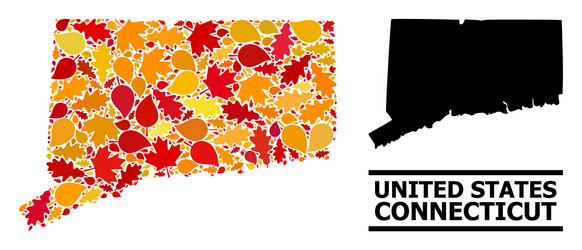 Gold map of connecticut state Royalty Free Vector Image