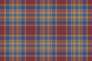 Red textured color diagonal seamless pattern Vector Image