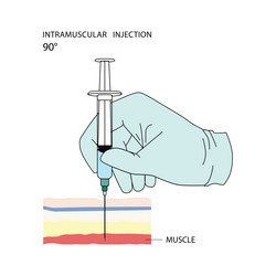 Intramuscular Injection Vector Images (over 400)
