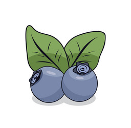 Blueberry Vector Images (over 26,000)