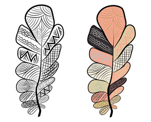 Hand drawn feathers Royalty Free Vector Image - VectorStock