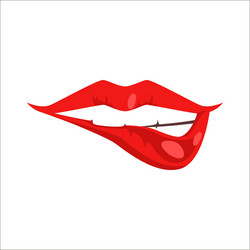 Woman lips Royalty Free Vector Image - VectorStock