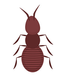 Ant Colony Vector Images (over 830)