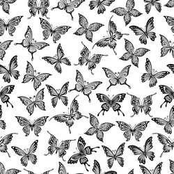Floral seamless pattern with butterflies Vector Image