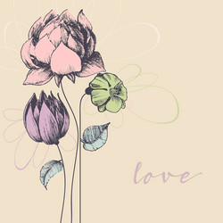 Pink roses bunch flowers in linear arrangement Vector Image