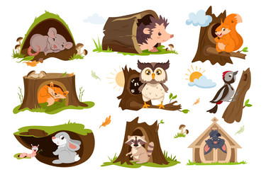 Forest animals sleeping in dens burrows and holes Vector Image