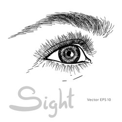 Hand-drawn beautiful female eye sketch Royalty Free Vector