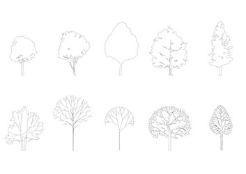 Tree line drawing side view graphics Royalty Free Vector